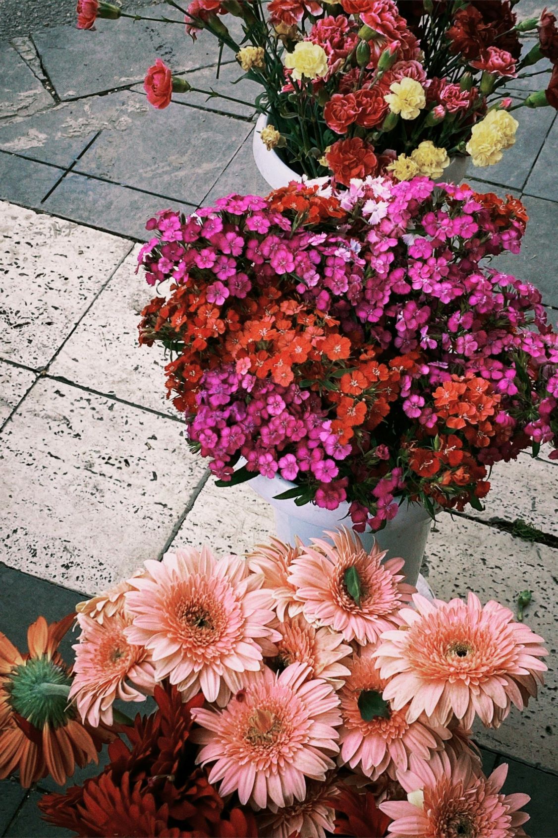 Flowers for Mom: What to Buy and What Each One Means